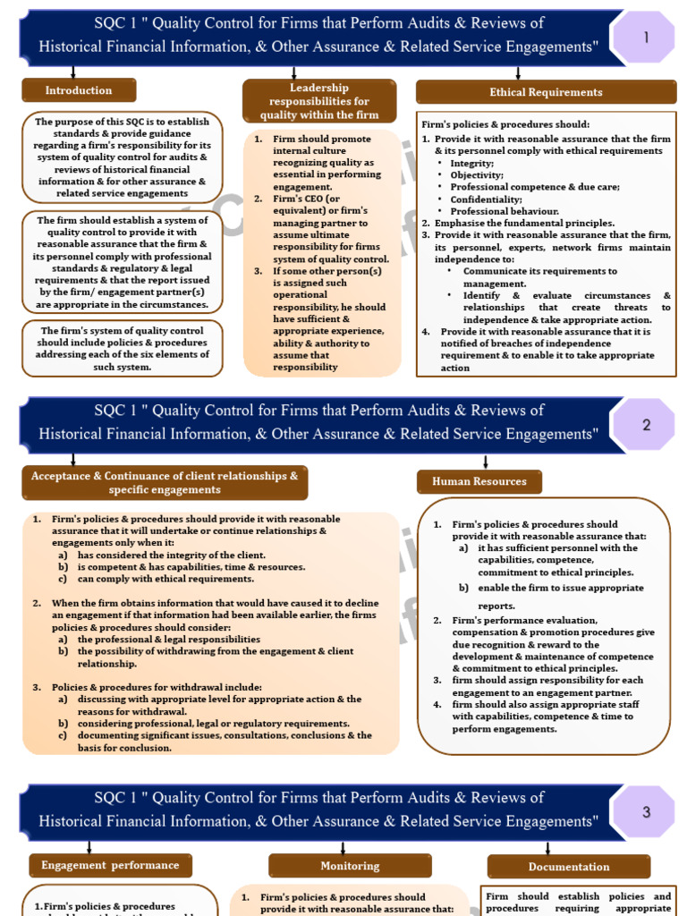 SA Charts CA Inter May 2024 by CA Sanidhya Saraf | PDF | Audit ...