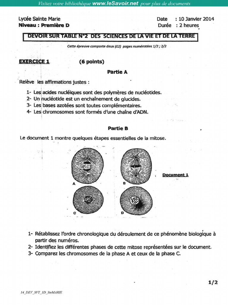14 Dev SVT 1d Stemarie | PDF