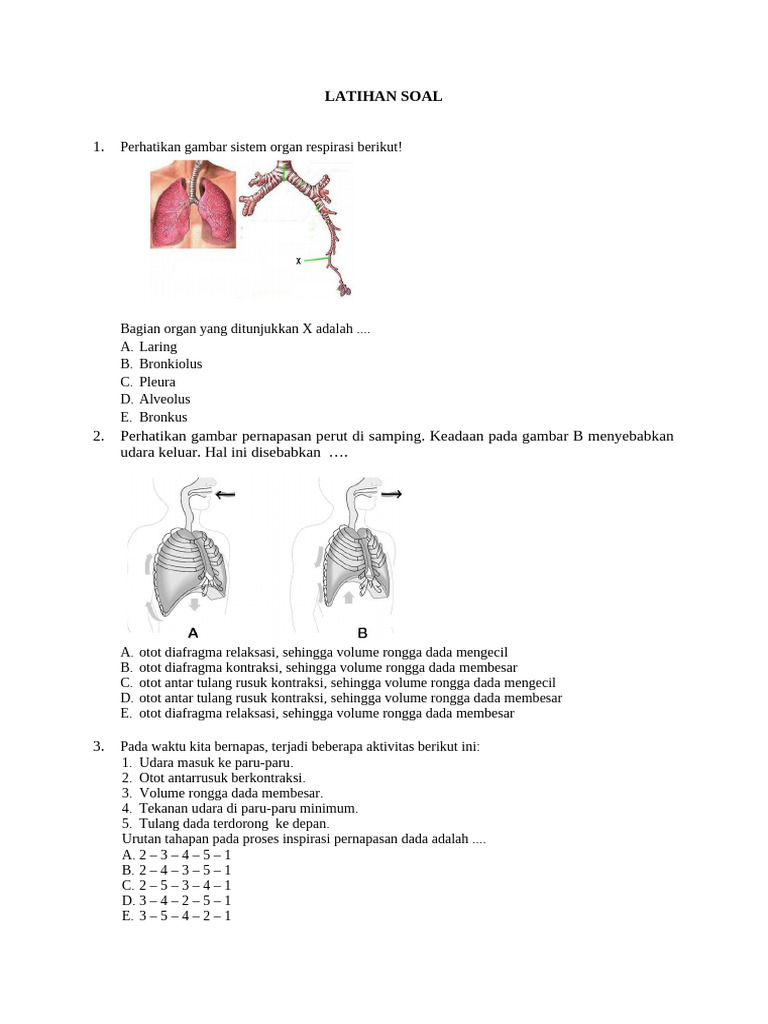 Latihan Soal Pat | PDF