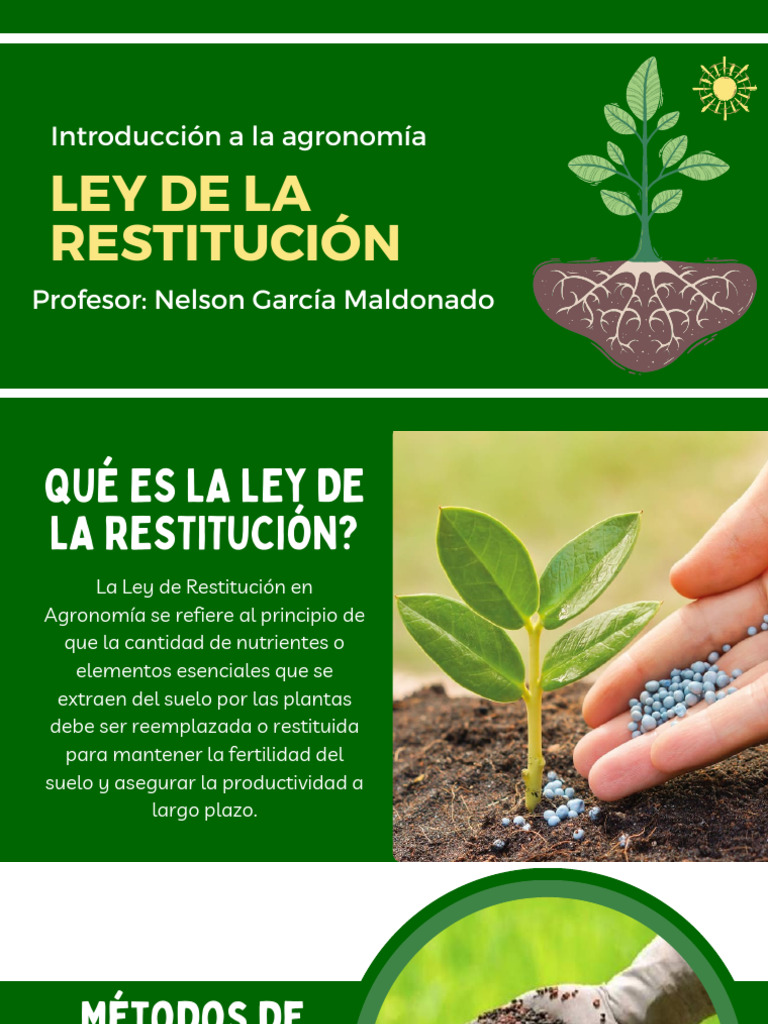 Ley de La Restitucion | PDF | Tecnología