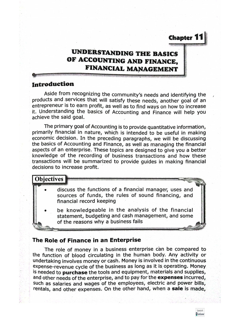 Chapter 11 Understanding The Basics of Accounting and Finance, Financial Management | PDF