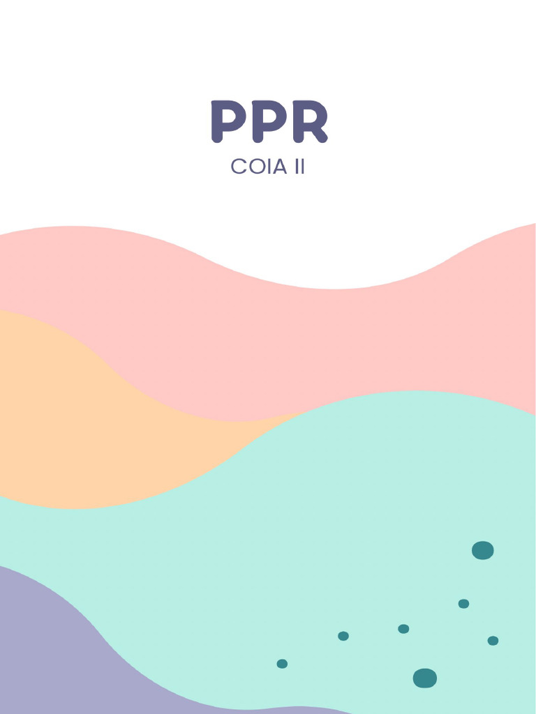 PPR | PDF