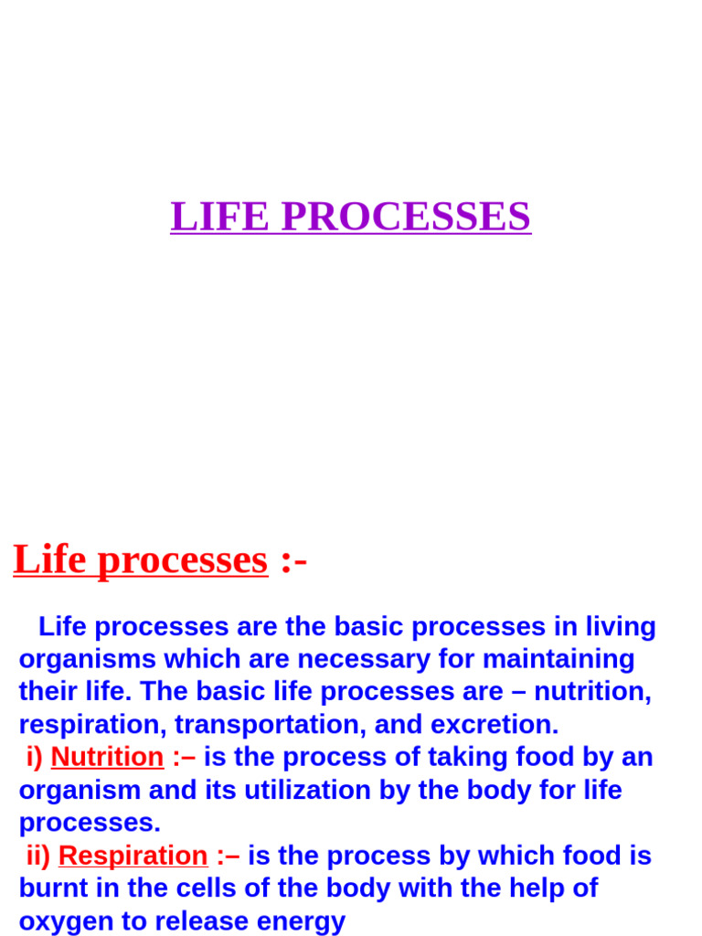 Life Processes | PDF | Wellness