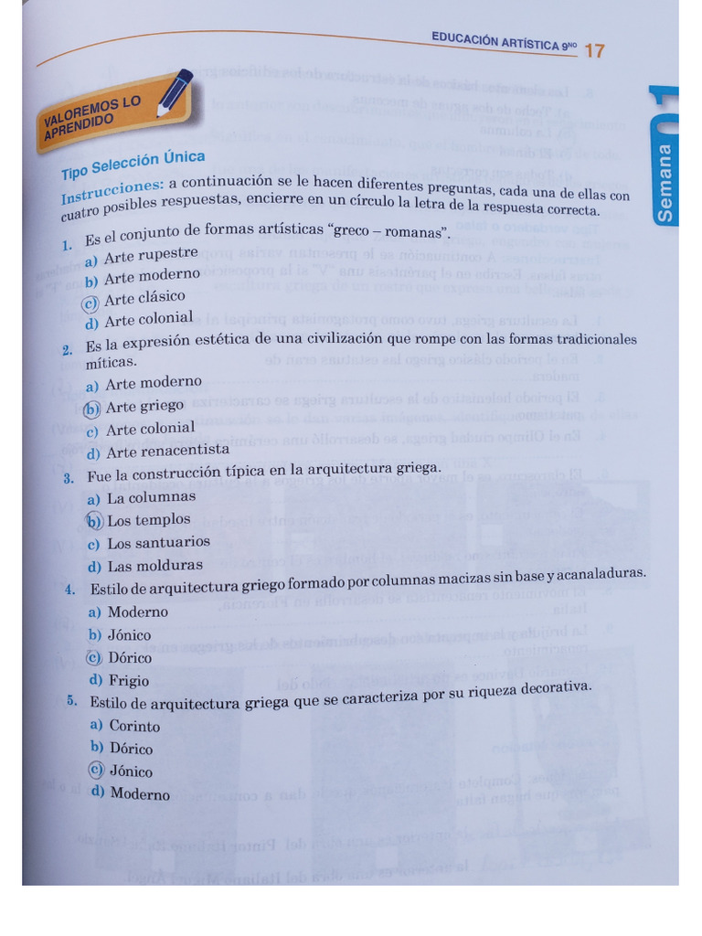 ACE Scanner Users Guide | PDF