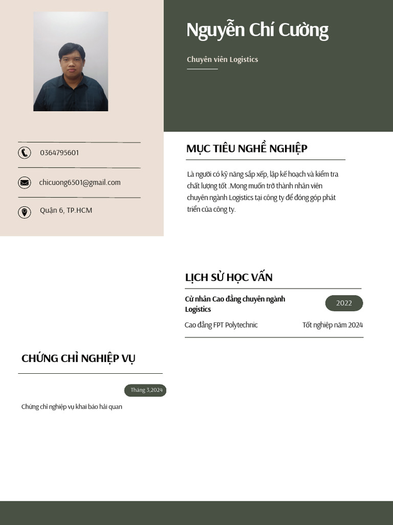 CV - Nguyen Chi Cuong | PDF