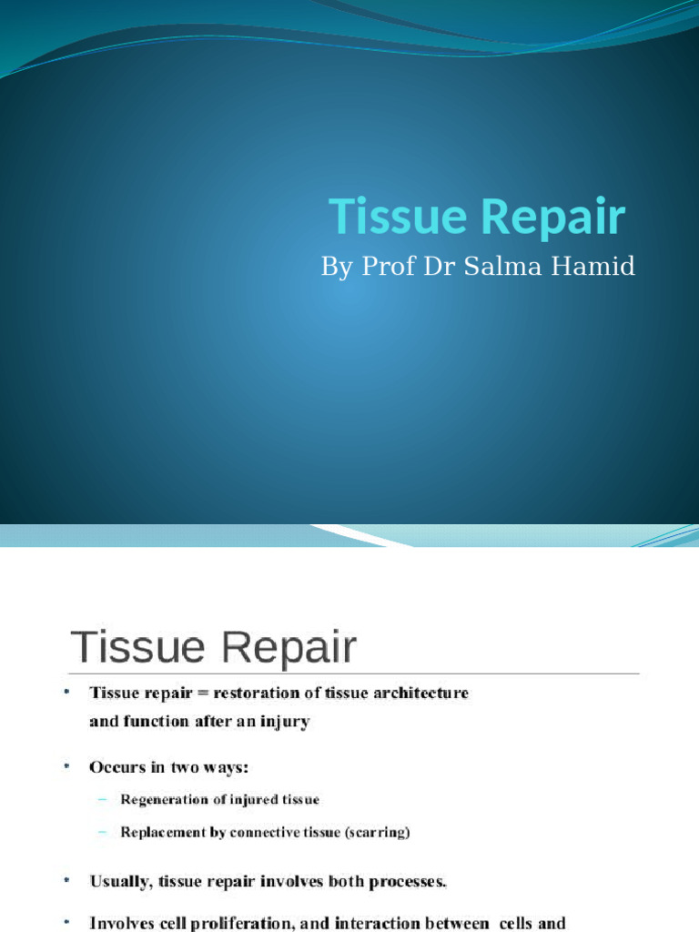 Tissue repair | PDF | Wound Healing | Scar