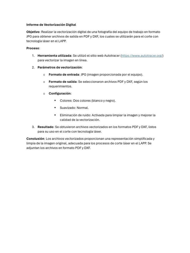 Informe de Vectorización Digital | PDF