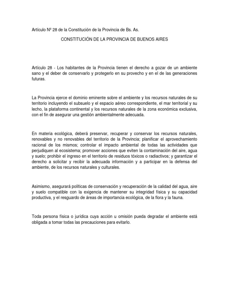 Articulo 28 Constitucion de La Pcia de BS As | PDF