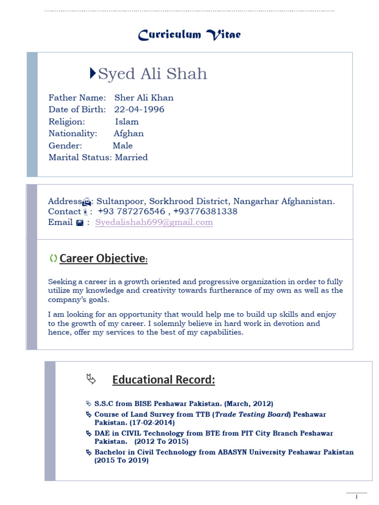 Syed Ali Shah CV2 | PDF | Surveying | Pakistan