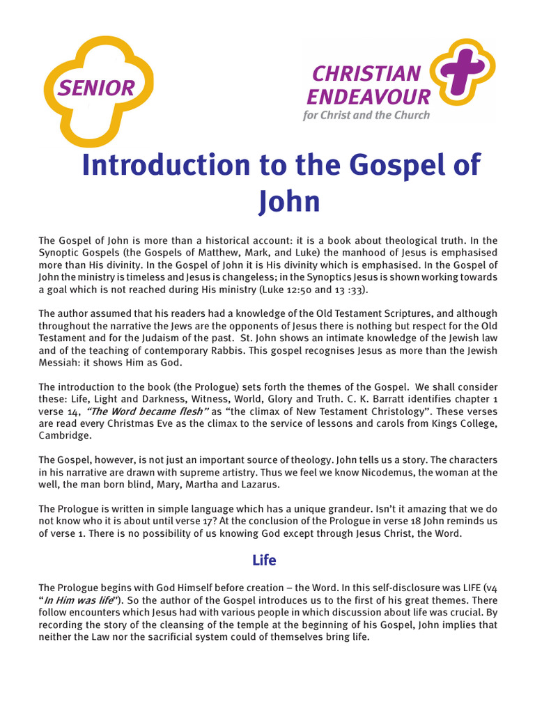 Understanding the Gospel of John | PDF | Gospel Of John | Jesus