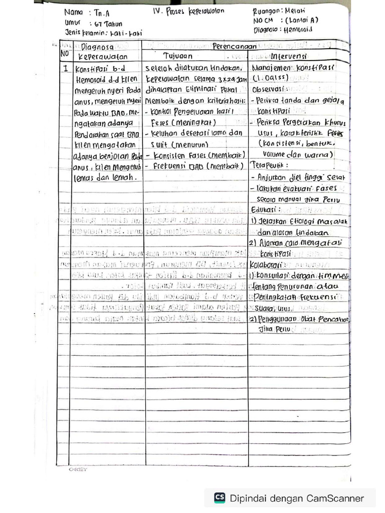 Ersa Chese-Rencana Keperawatan - Compressed | PDF
