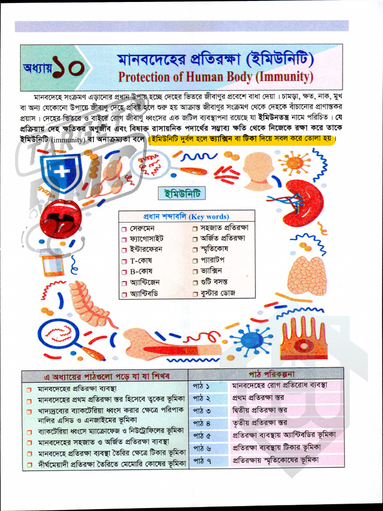 Chapter 10 Protection of Human Body | PDF