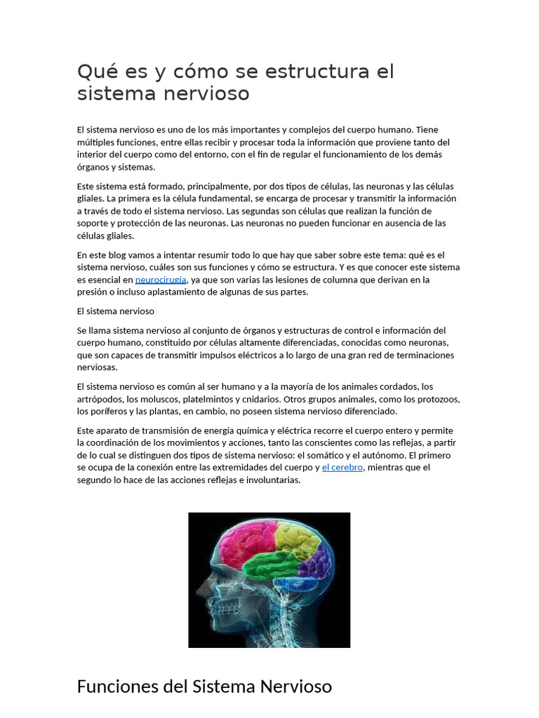 Estructura y Funciones del Sistema Nervioso | PDF | Neurona | Sistema nervioso