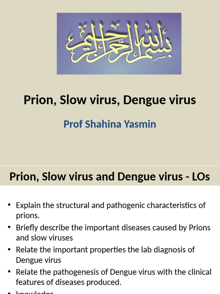 Slow Virus, Prion and Dengue | PDF | Virus | Microbiology