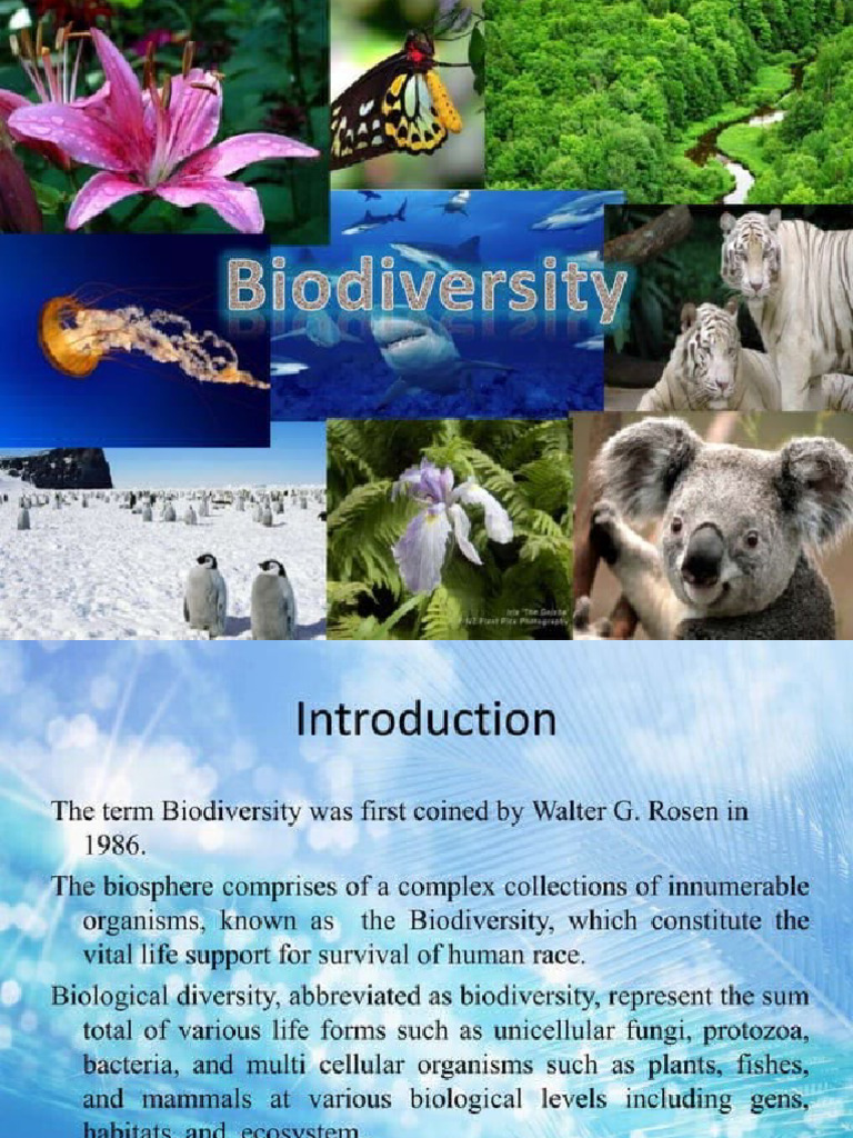 EVS Biodiversity | PDF