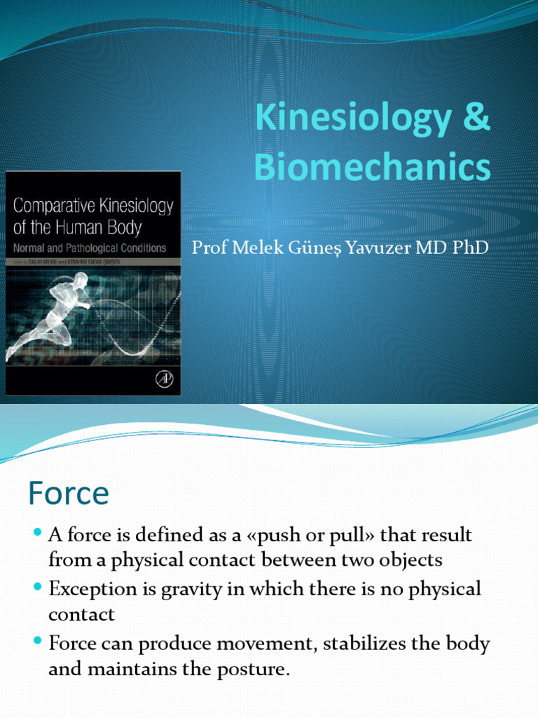 Understanding Forces in Kinesiology | PDF | Force | Cartilage