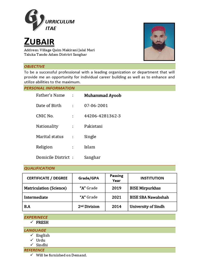 CV of Zubair | PDF