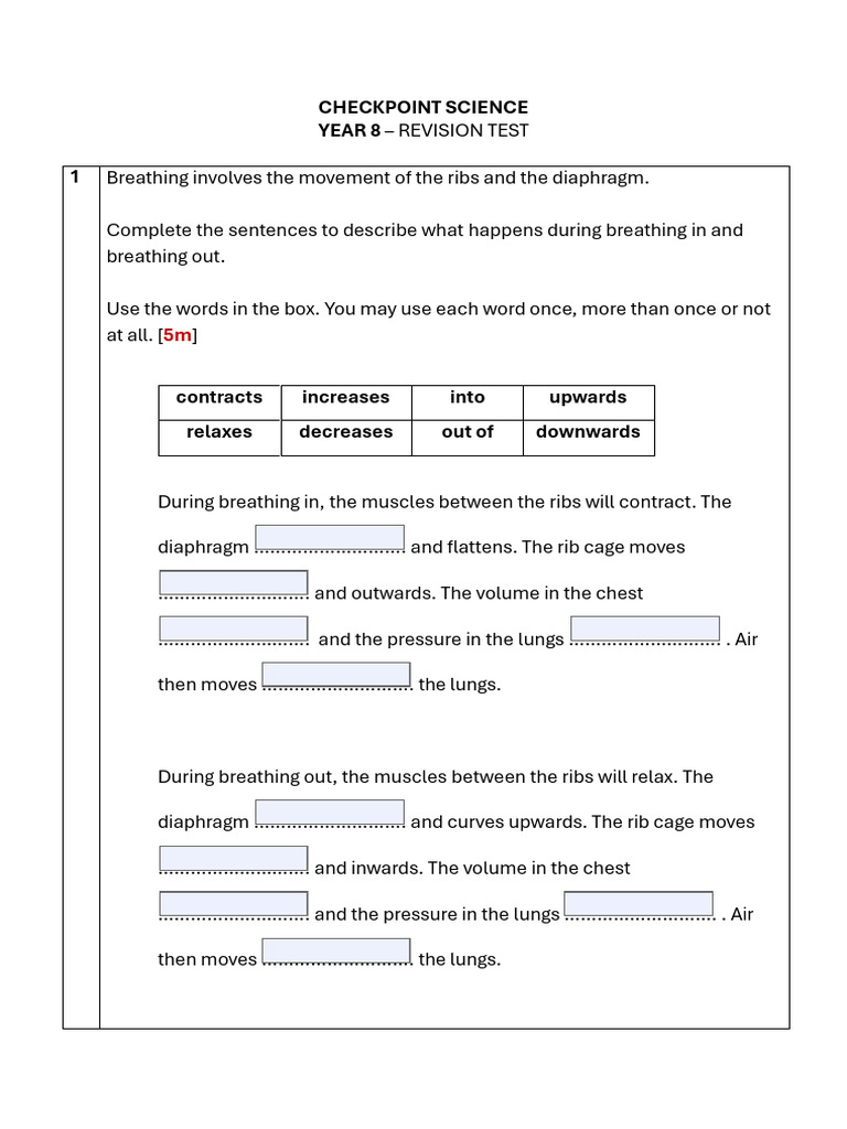Y8 Revision test | PDF | Breathing | Ice Age