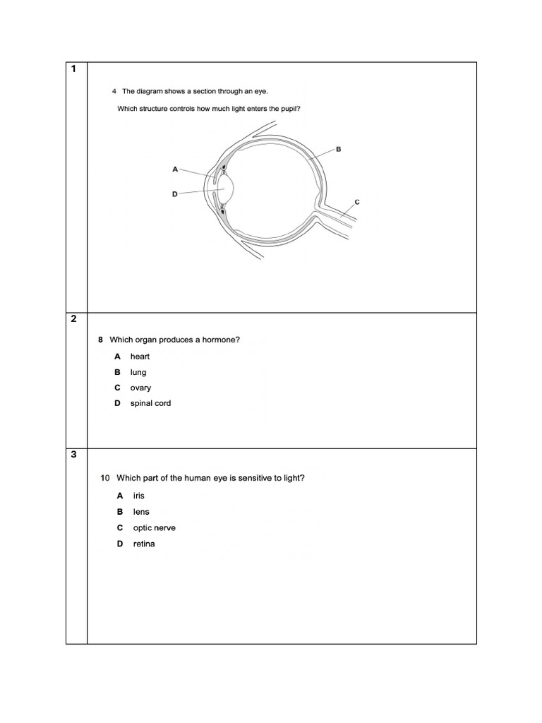 Year 10 - Sense organs1 | PDF