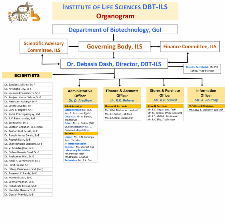 Ils-Organogram 10.08.2023 | PDF