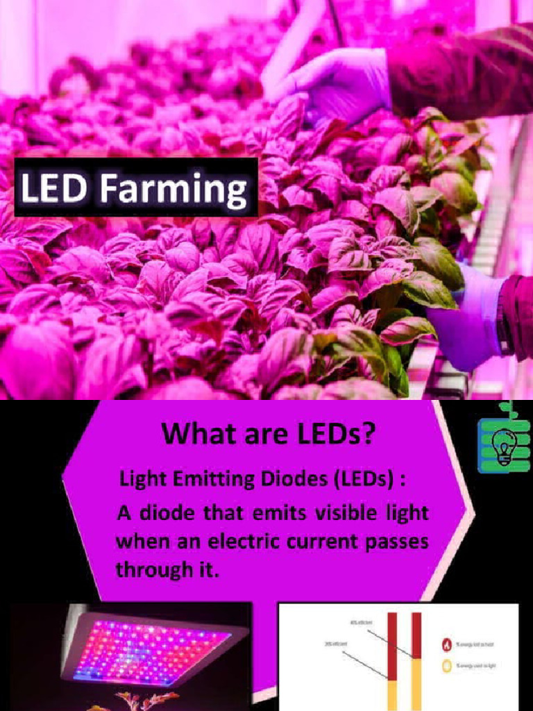Artificial Light System | PDF