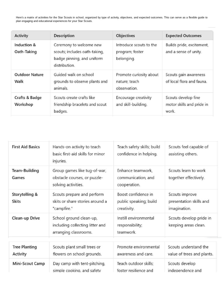 Star Scout Matrix of Activities | PDF | Career & Growth