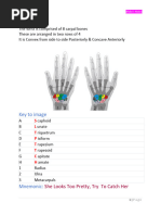 Thenar and Hypothenar Muscles Overview | PDF | Thumb | Hand