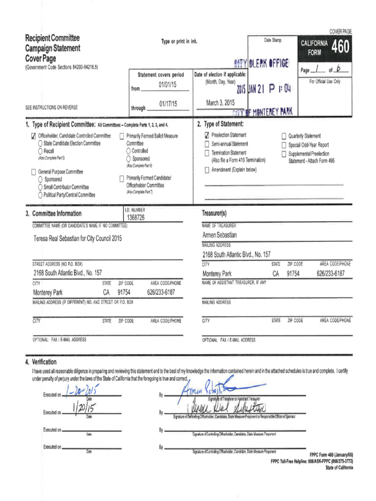 Teresa Real Sebastian Campaign Statement | PDF | Expense | Financial ...