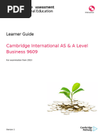 A Level Business Comprehensive Notes | PDF