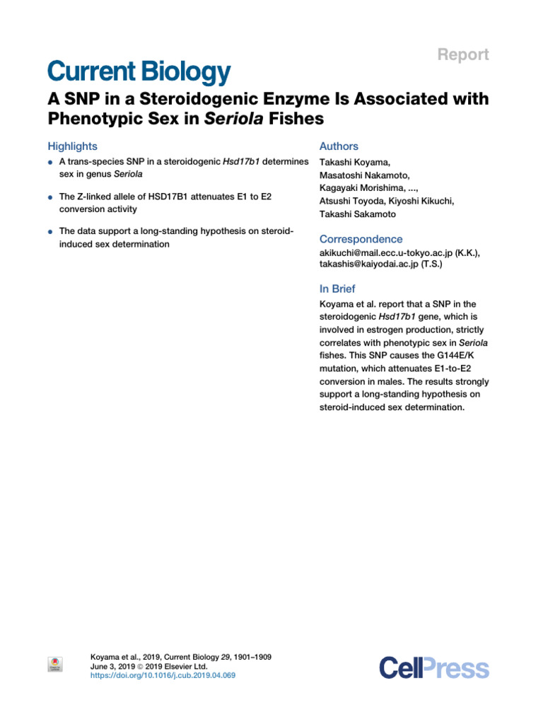 Koyama Et Al 2019 Sex Determination Seriola Pdf Zygosity Single