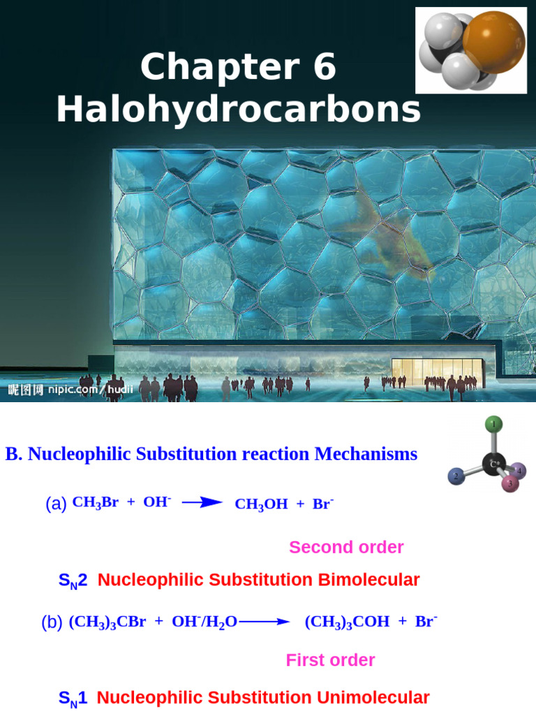 Halohydrocarbons Chapter 6-7 | PDF | Methyl Group | Chemical Reactions