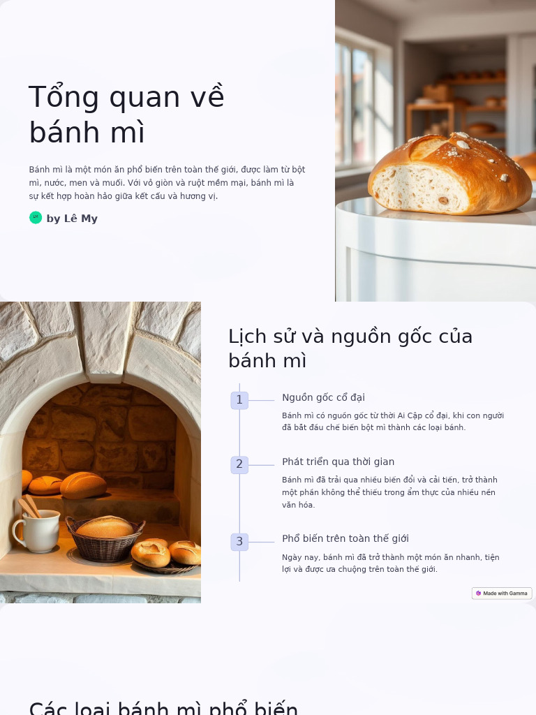 Tong Quan Ve Banh Mi | PDF