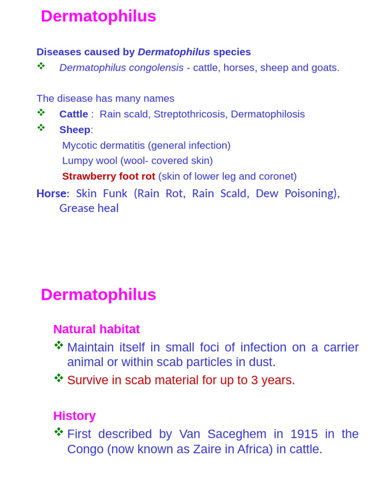 Derma To Phil Us | PDF | Microbiology | Medical Specialties
