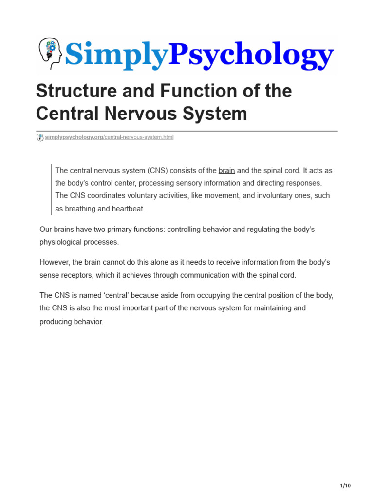 Understanding the Central Nervous System | PDF | Central Nervous System | Brain
