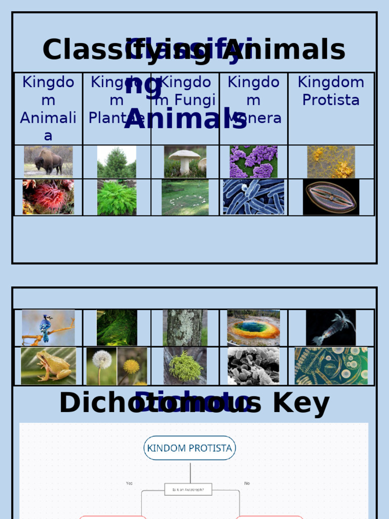 Understanding Animal Classification | PDF