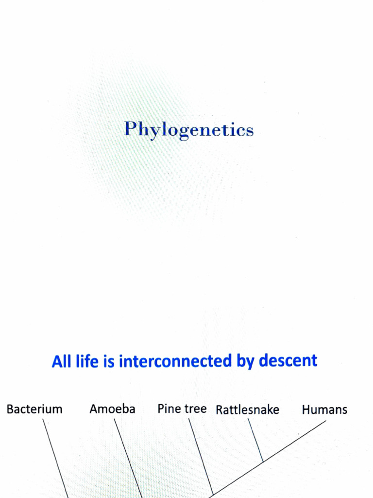 Phylogenetics | PDF