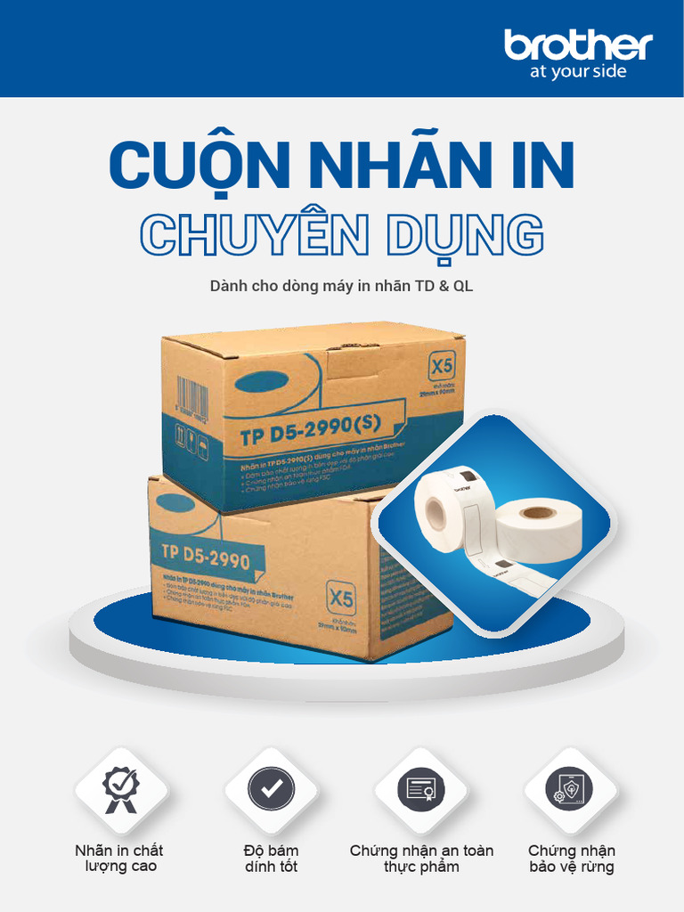 Brochure Nhãn in TP | PDF