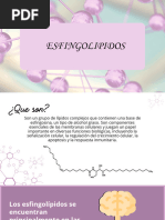 Funciones y Estructura de Gangliosidos | PDF | Membrana celular ...