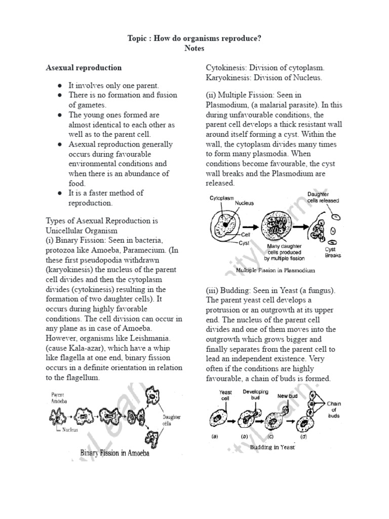 How Do Organism Reproduce (Asexual Reproduction) | PDF | Flowers ...