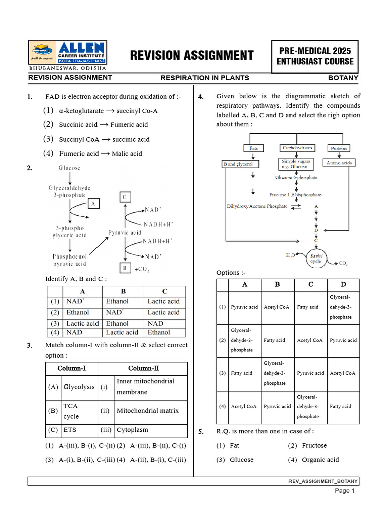 Bot Rev Assign#01 Respiration in Plants SC | PDF | Electron Transport Chain | Cellular Respiration
