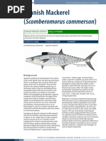 Queensland Fish Size and Bag Limits | PDF