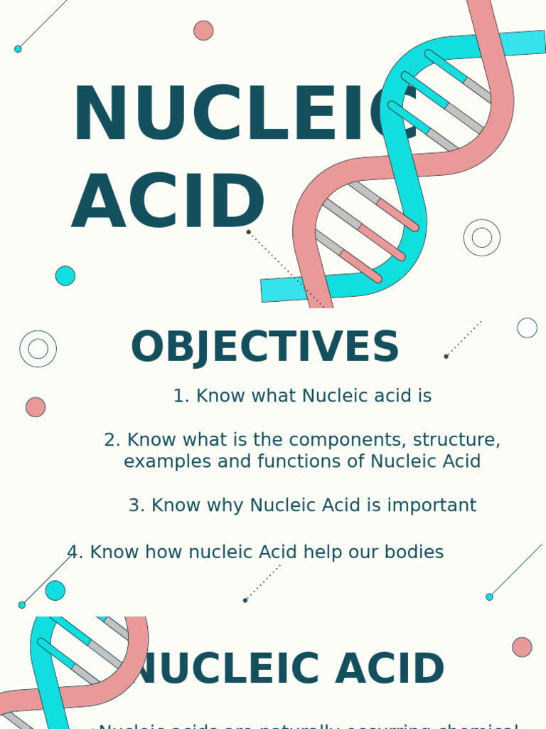 Nucleic-Acid | PDF | Nucleic Acids | Rna