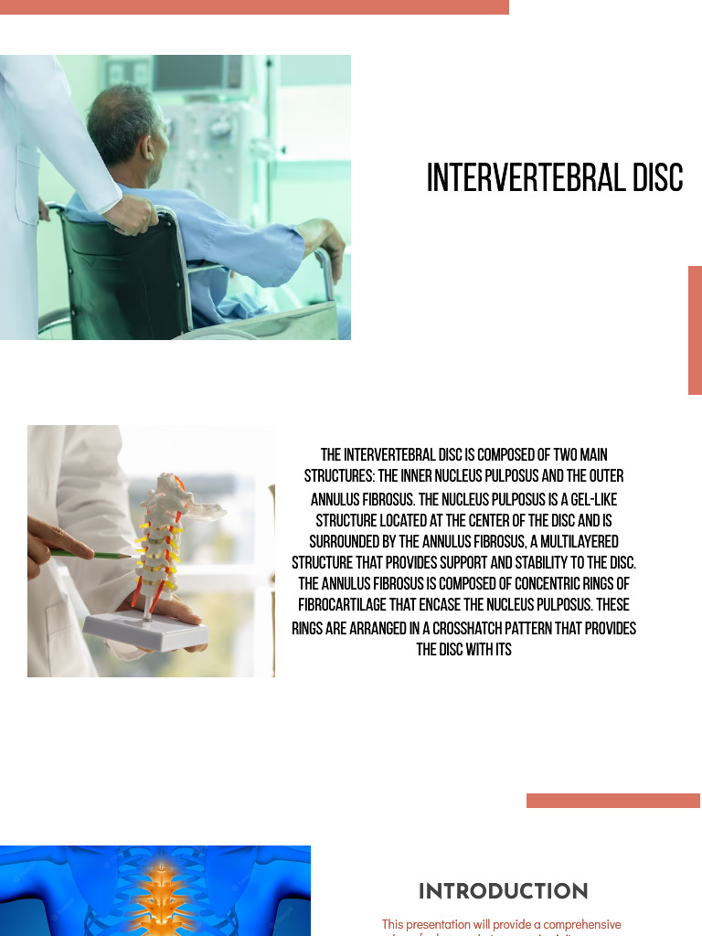 Intervertebral Disc | PDF