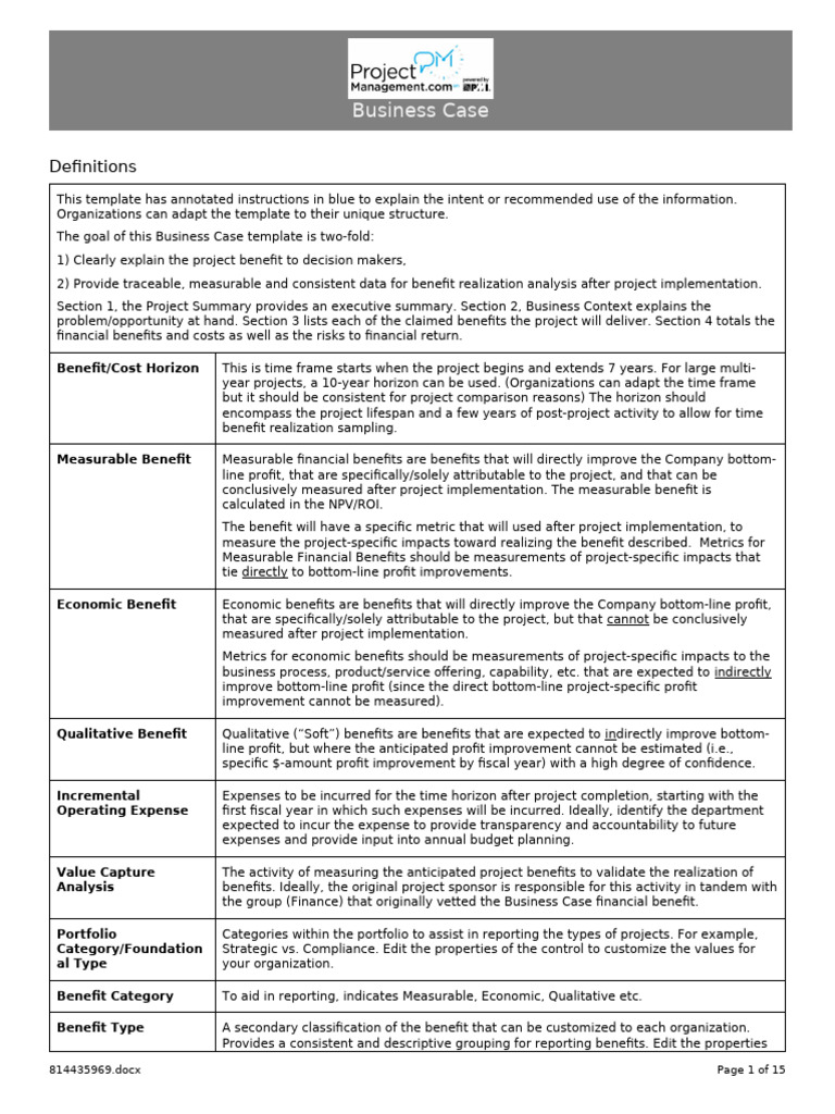 Business Case Template | PDF | Net Present Value | Risk