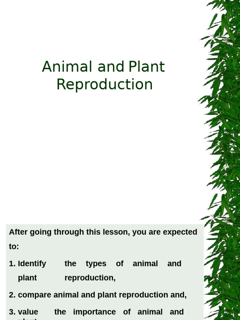 Plant and Animal Reproduction | PDF | Sexual Reproduction | Reproduction