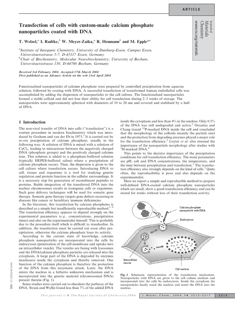 Ref_Encap_welzel2004 | PDF | Transfection | Nanoparticle