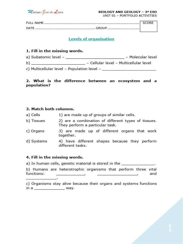 Levels of Biological Organization | PDF | Cell (Biology) | Tissue (Biology)