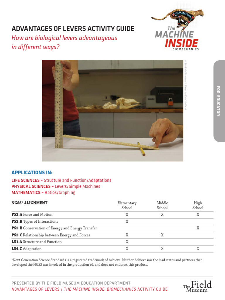 Lever Learning for Educators | PDF | Lever | Physics