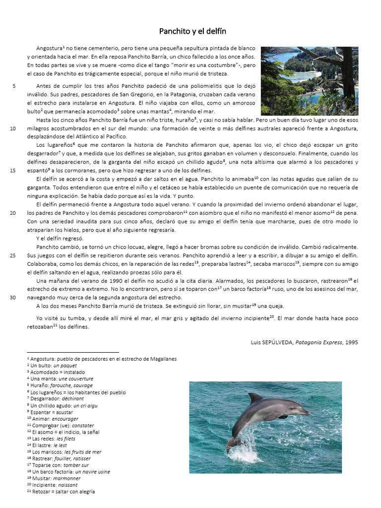 Panchito y El Delfã - N | PDF