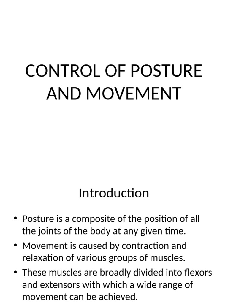 Control of Posture and Movement | PDF | Motor Neuron | Cerebellum